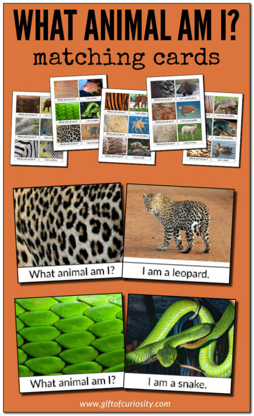 What Animal Am I? Montessori-inspired Matching Cards - Gift of Curiosity
