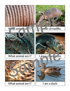What Animal Am I? Matching Cards - Gift of Curiosity