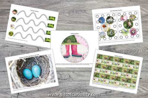 Spring Printables Bundle - Gift of Curiosity