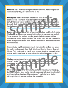Animal Body Coverings Activities Pack - Gift of Curiosity