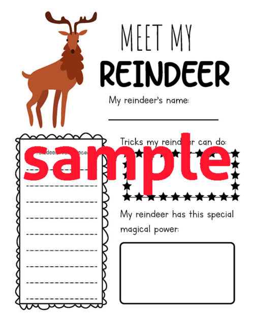 Reindeer Activity Pack - Gift of Curiosity
