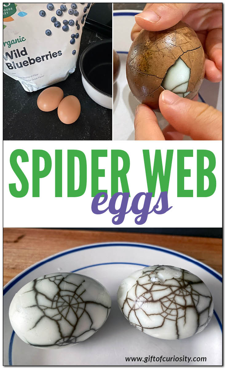 How to Make 'Spider Web' Eggs with Kids - Gift of Curiosity