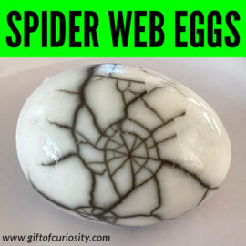 How to Make 'Spider Web' Eggs with Kids - Gift of Curiosity