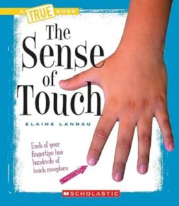 Sense of touch: Identifying 3D shapes by touch - Gift of Curiosity